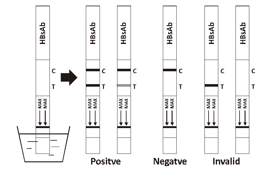 HBsAg Hepatitis B Surface Antigen Rapid Test Biozek HBsAg Hepatitis B Surface Antigen Rapid Test Biozek